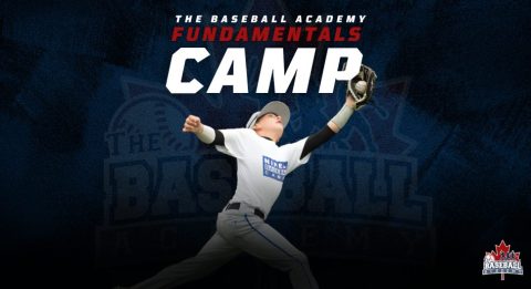 Camps - The Baseball Academy